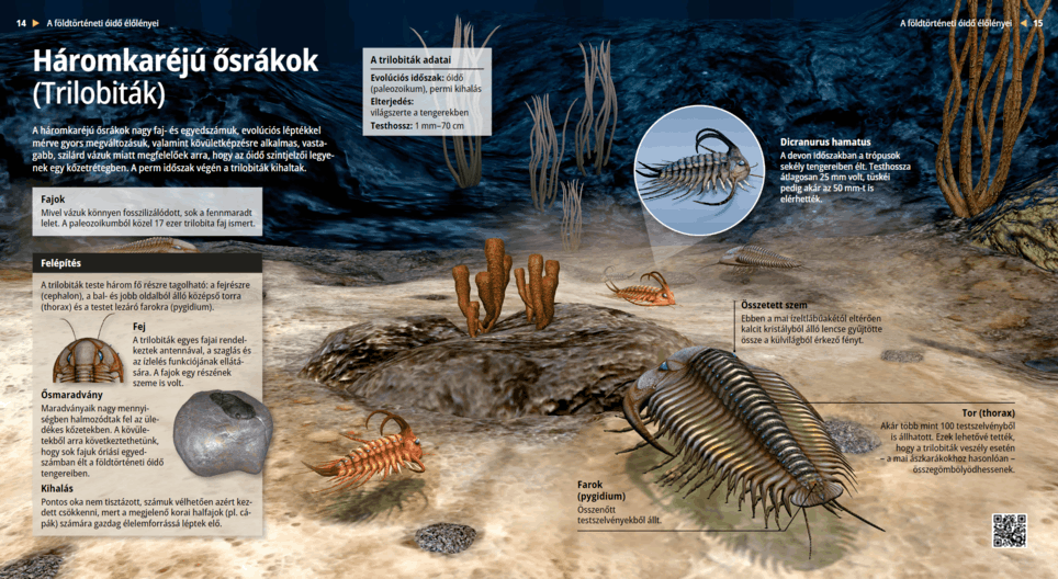 Trilobites - Digital lesson - Mozaik Digital Education and Learning