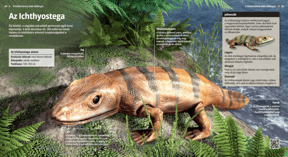 Ichthyostega - Digital lessons - Mozaik Digital Education and Learning