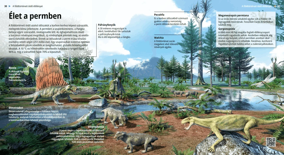 Life in the Permian Period - Digital lessons - Mozaik Digital Education ...