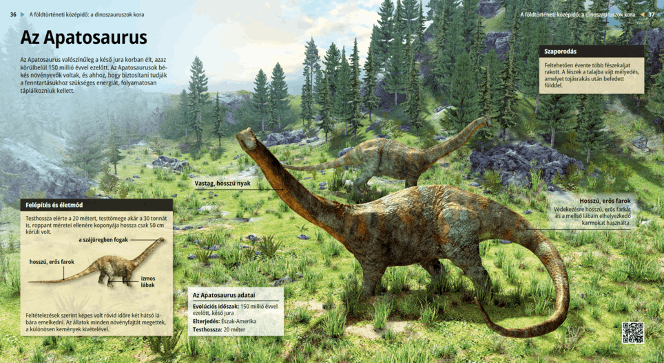 Apatosaurus - Digital lesson - Mozaik Digital Education and Learning