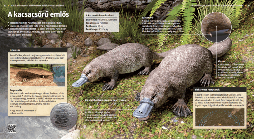 Platypus - Digital lessons - Mozaik Digital Education and Learning