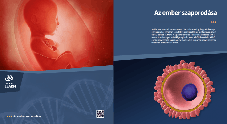 Human Reproduction - Digital lessons - Mozaik Digital Education and Learning