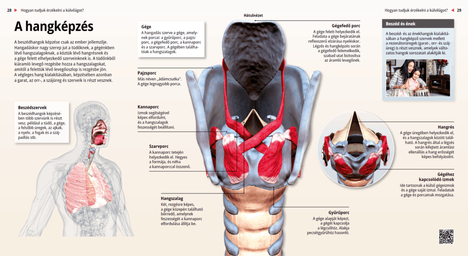 Voice Production - Digital lesson - Mozaik Digital Education and Learning