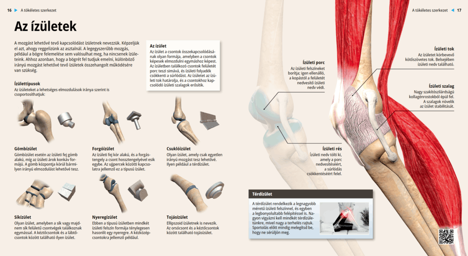 Joints - Digital lesson - Mozaik Digital Education and Learning