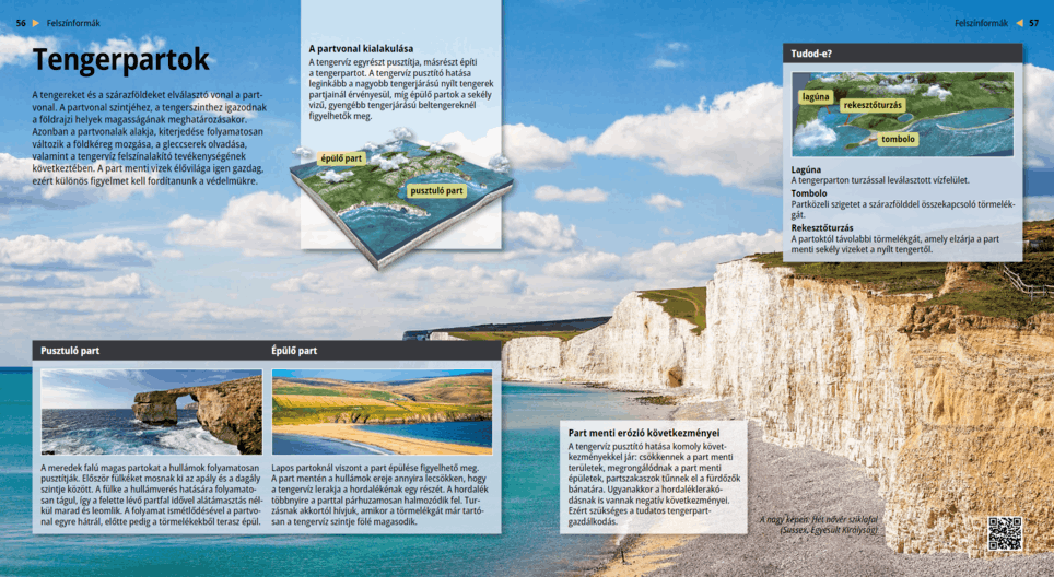 Sea Shores - Digital lesson - Mozaik Digital Education and Learning