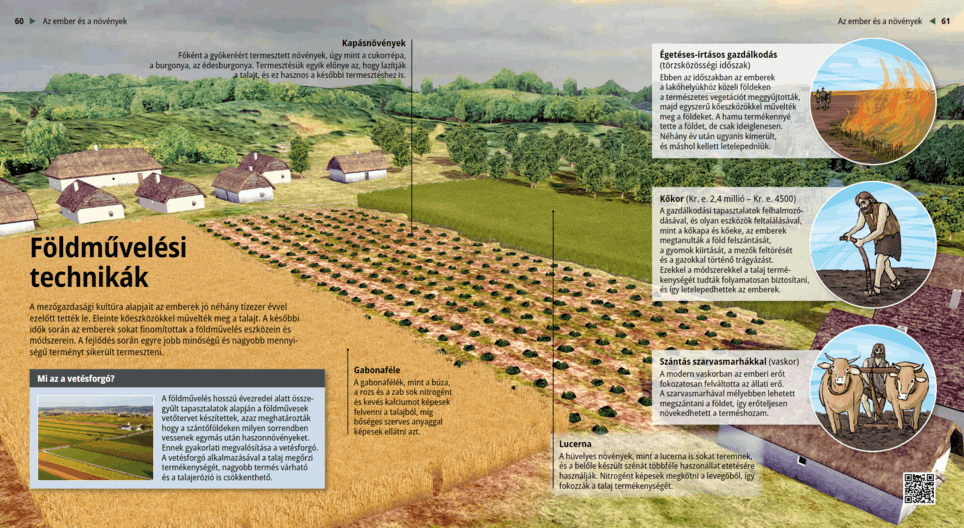 Farming techniques - Digital lessons - Mozaik Digital Education and ...
