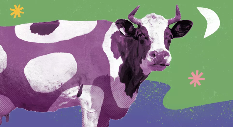 Are there purple cows? - Digital lessons - Mozaik Digital Education and ...
