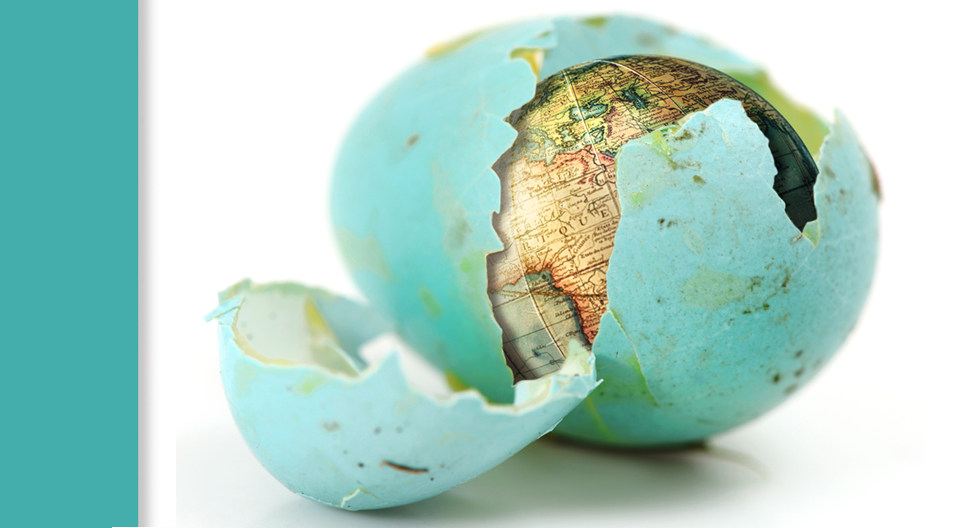 HOW ARE MAPS MADE? - Digital lesson - Mozaik Digital Education and Learning