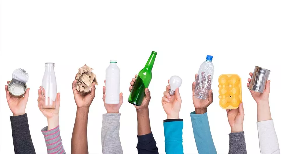 Let's reduce wasting - Digital lesson