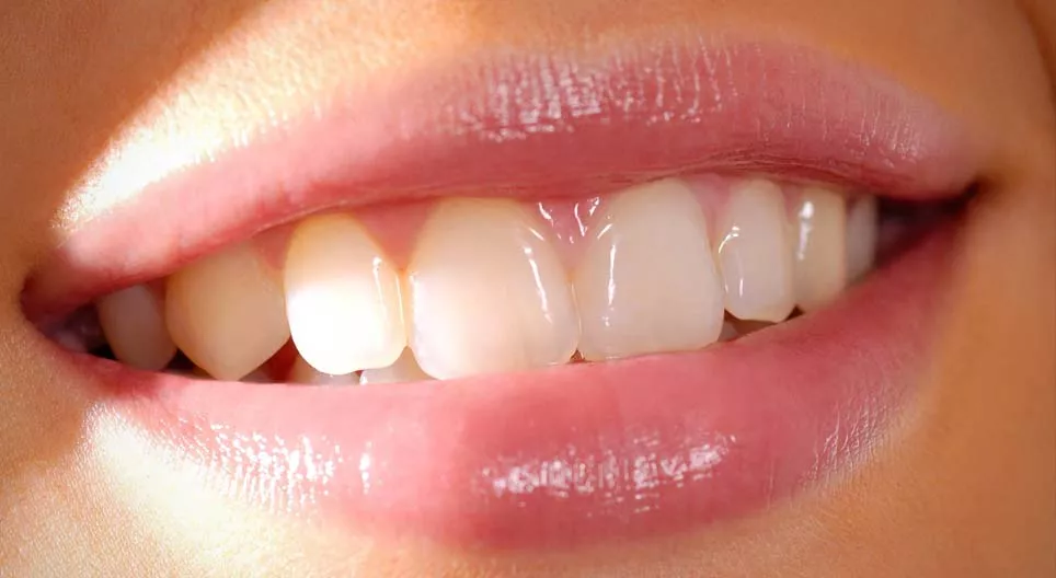 What do we know about teeth? - Digital lesson - Mozaik Digital ...