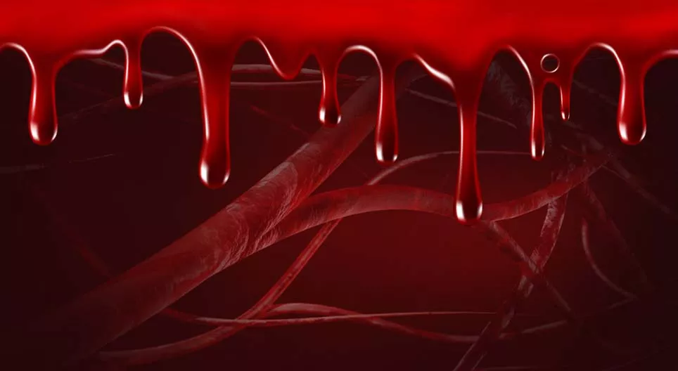 Blood - Digital lessons - Mozaik Digital Education and Learning