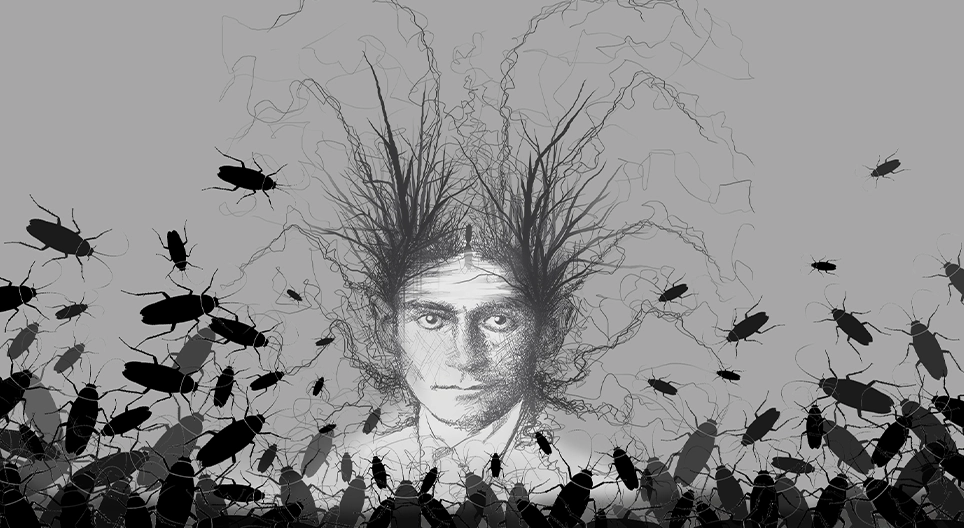 Metamorphosis - Digital lessons - Mozaik Digital Education and Learning