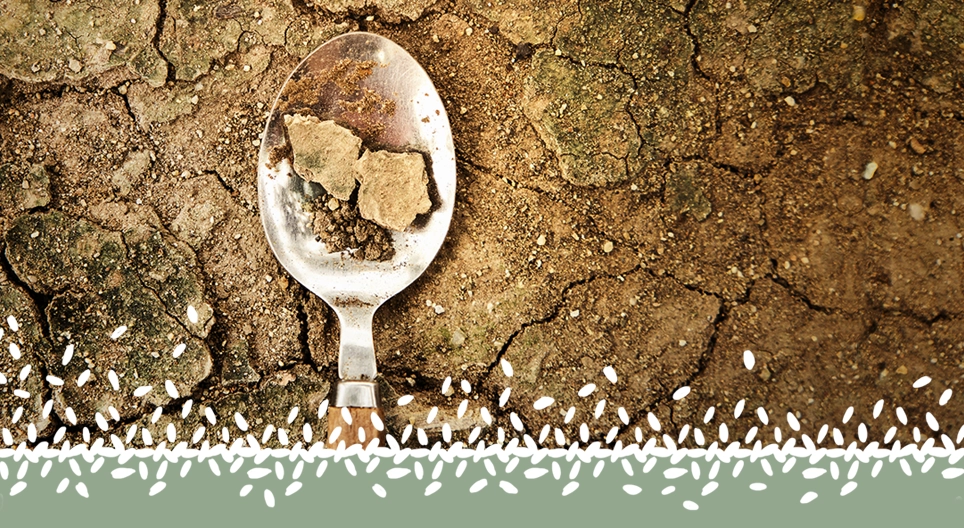 Global food crisis - Digital lessons - Mozaik Digital Education and ...