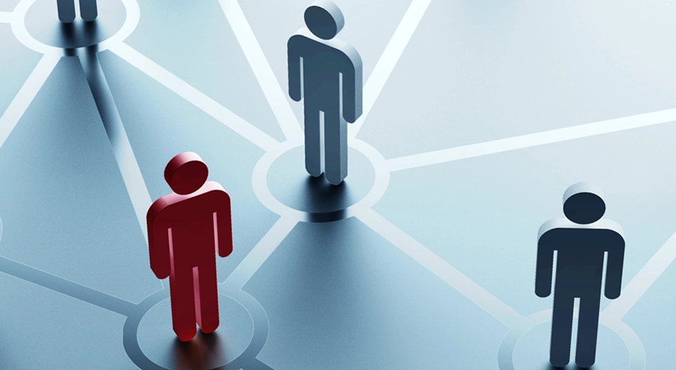 To which network do you belong? - Digital lessons - Mozaik Digital ...