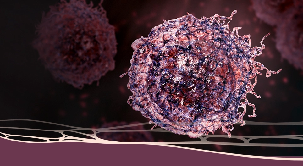 The dreaded diagnosis: Cancer - Digital lessons - Mozaik Digital Education and Learning