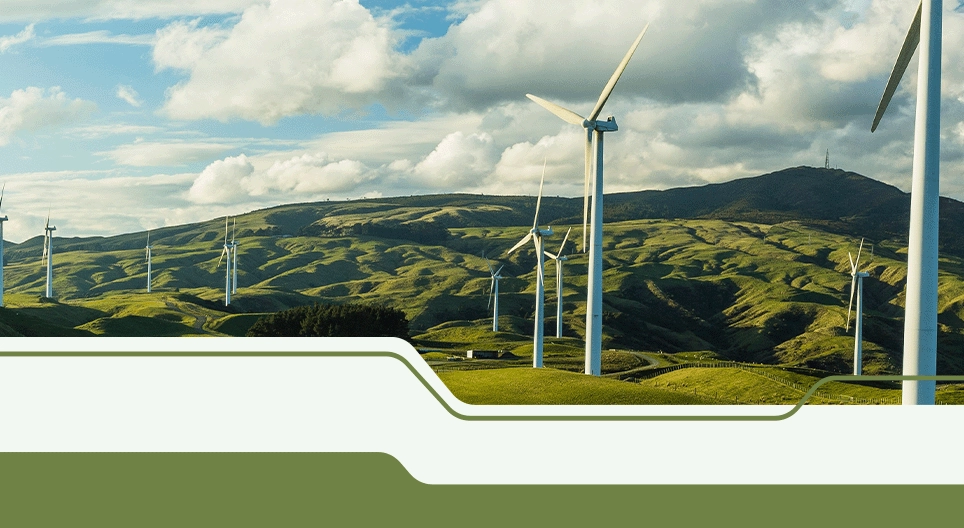 Natural characteristics of the USA - Digital lessons - Mozaik Digital ...