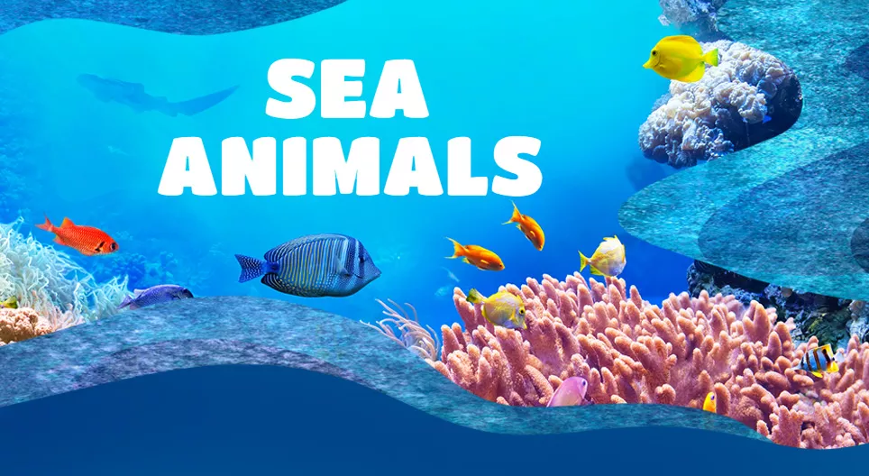 Sea Animals - Digital lessons - Mozaik Digital Education and Learning