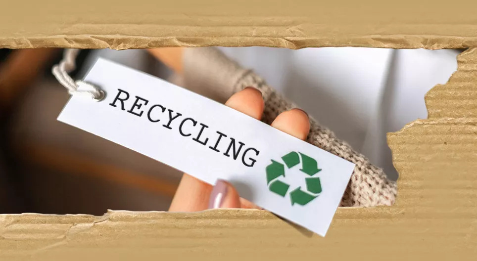Recycling - Digital lessons - Mozaik Digital Education and Learning