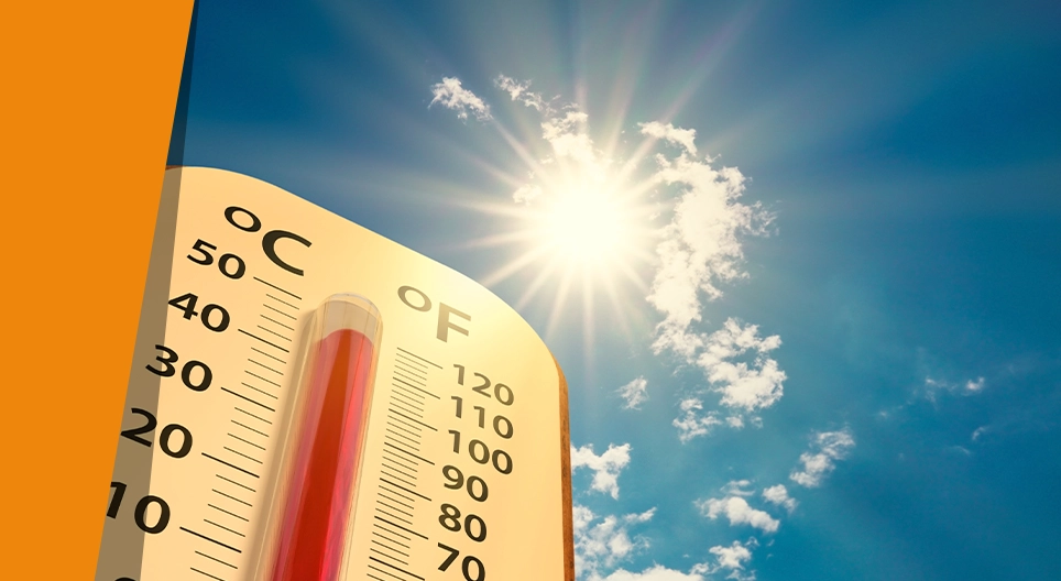 Skin thermometer - Digital lessons - Mozaik Digital Education and Learning