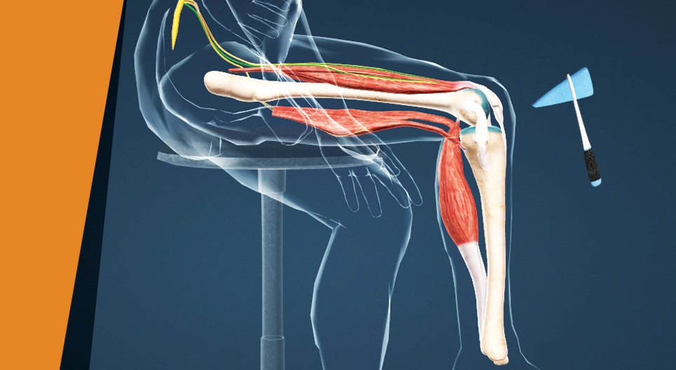 The leg that came to life - Digital lesson - Mozaik Digital Education ...