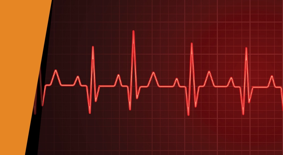 The rhythm of your heart - Digital lessons - Mozaik Digital Education ...