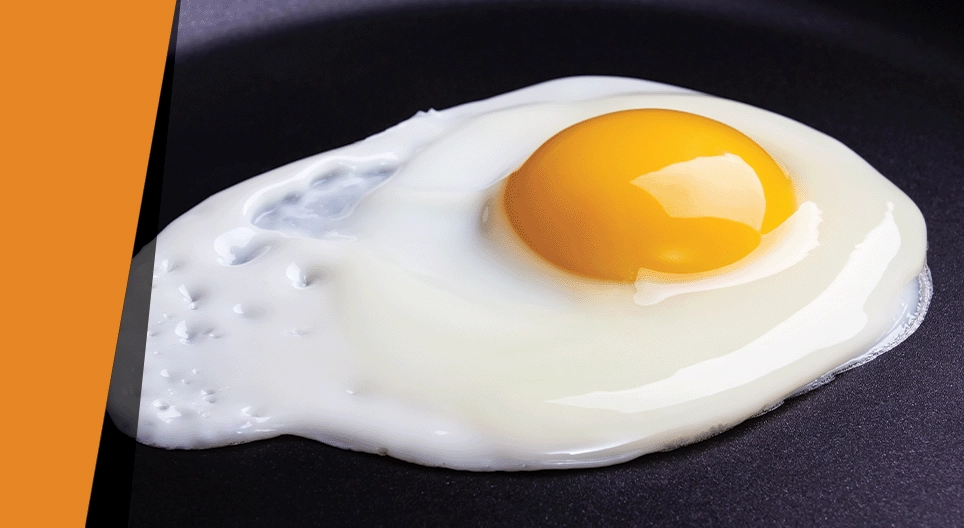 An irreversible process - Digital lessons - Mozaik Digital Education ...