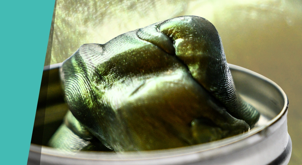 Silly putty or smart putty? - Digital lesson - Mozaik Digital Education ...