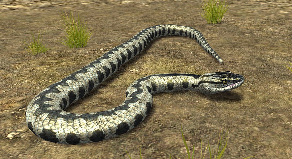 Common European viper - 3D scene - Mozaik Digital Education and Learning