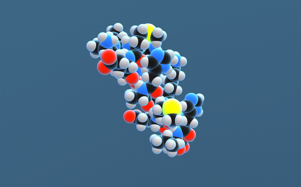 The secondary structure of proteins - 3D scene - Mozaik Digital Education and Learning