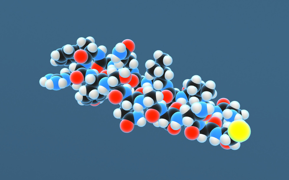 The secondary structure of proteins - 3D scene - Mozaik Digital ...