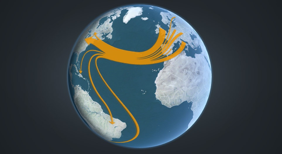 The history of human migration - 3D scene - Mozaik Digital Education ...