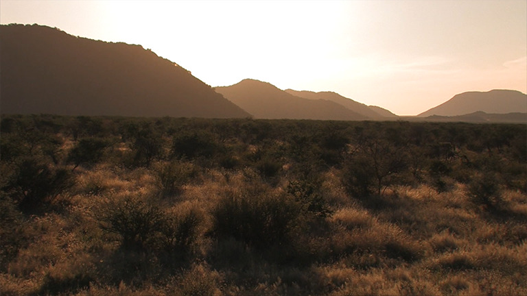 The Kalahari Basin - video - Mozaik Digital Education and Learning