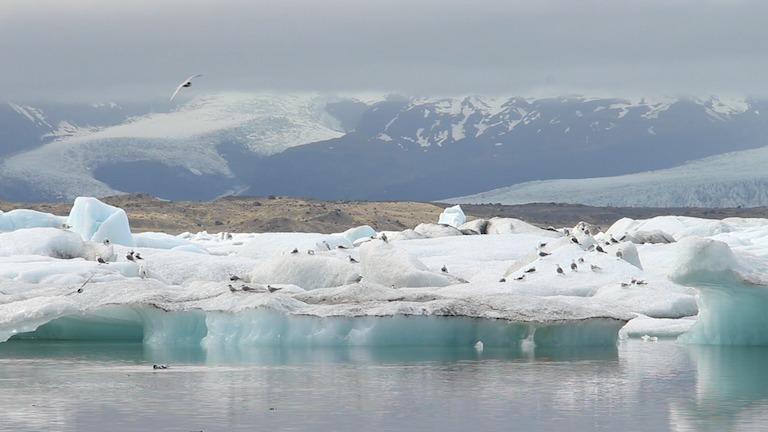 The work of glaciers - video - Mozaik Digital Education and Learning