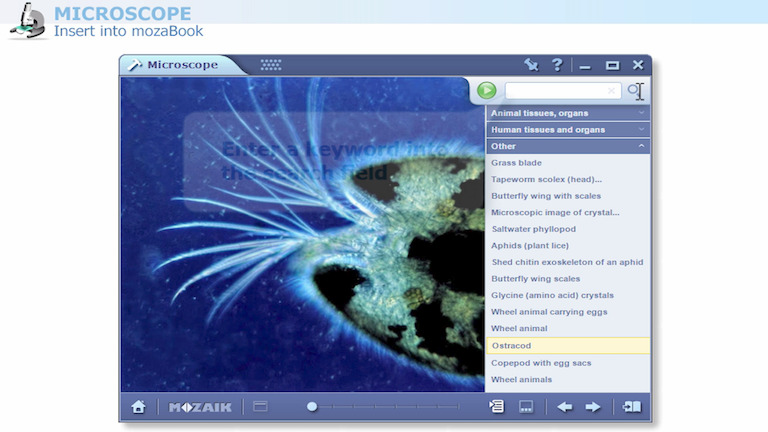 Microscope tutorial - video - Mozaik Digital Education and Learning