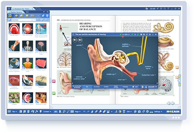 Mozaik Digital Education and Learning