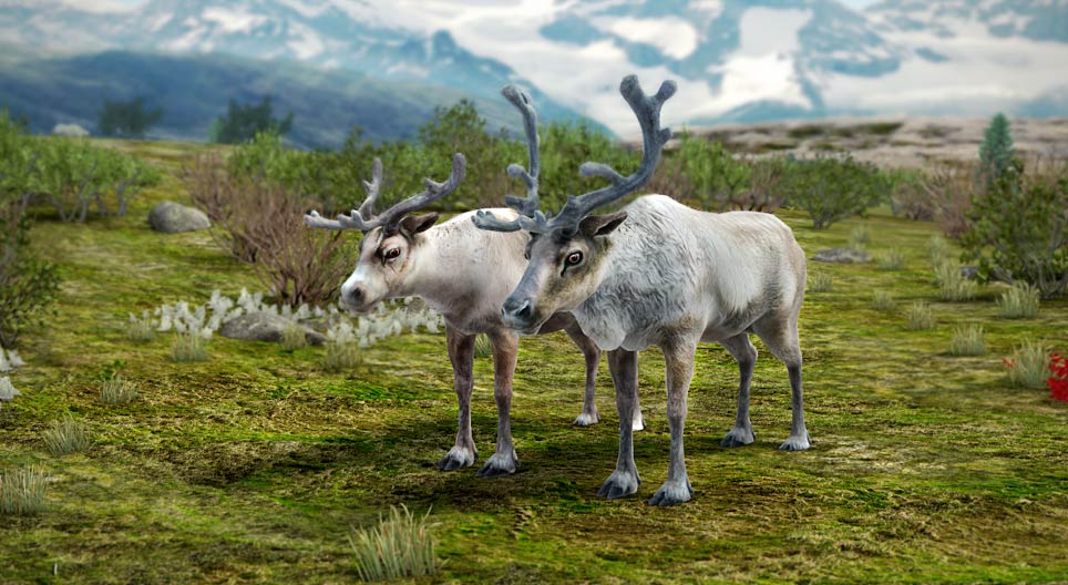 Rendier - 3D-scène - Mozaik Digital Education and Learning