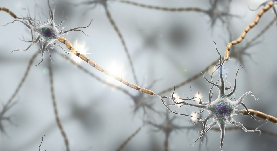 Nerveceller, nervevev - 3D-scene - Mozaik Digital utdannelse og læring