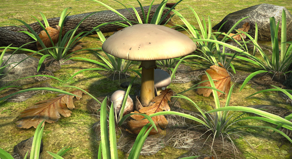 Sopp - 3D-scene - Mozaik Digital utdannelse og læring