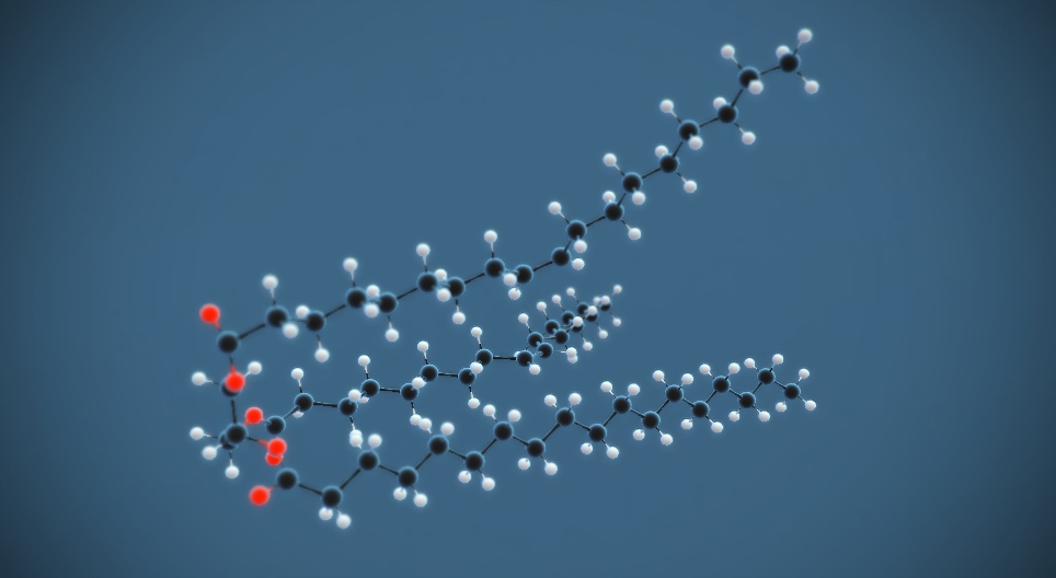 Stearinsyre (oktadekansyre) (C₁₇H₃₅COOH) - 3D-scene - Mozaik Digital ...