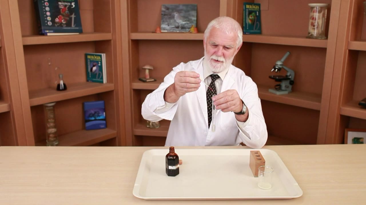 How does pancreatic juice break down starch? - wideo - Mozaik edukacja ...