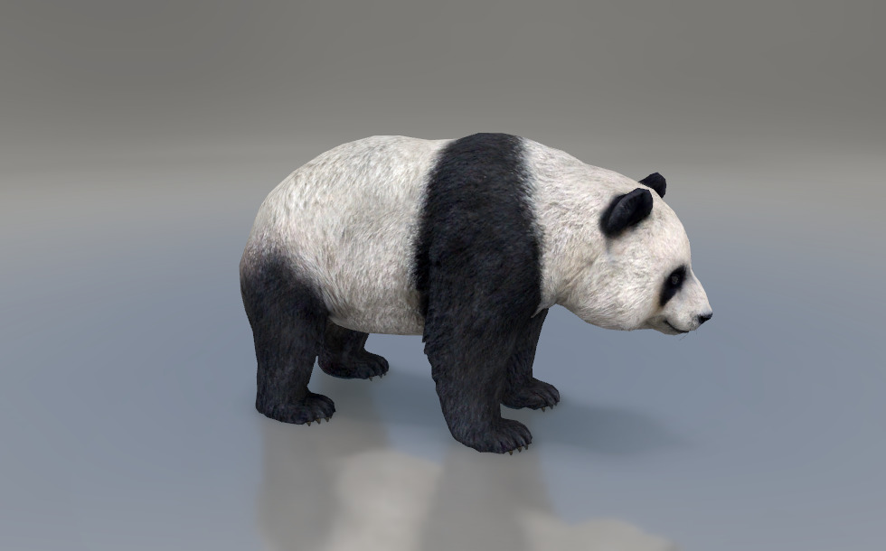 Panda-gigante - Cena 3D - Ensino e aprendizagem digitais Mozaik