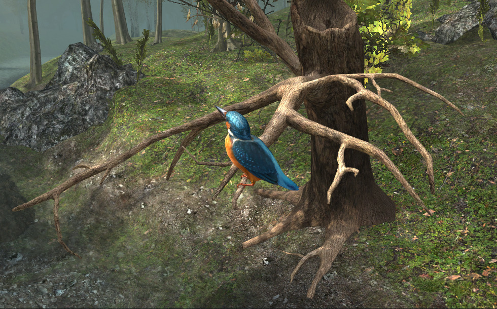 Guarda-rios comum - Cena 3D - Ensino e aprendizagem digitais Mozaik