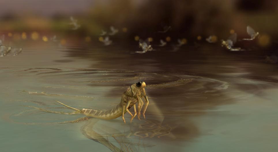 Efemérida de cauda longa - Cena 3D - Educação e Aprendizagem Digital Mozaik