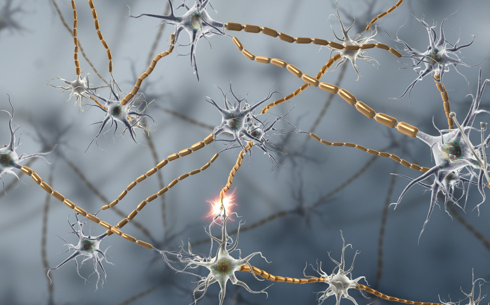 Os neurônios e o tecido nervoso - Cena 3D - Educação e Aprendizagem ...