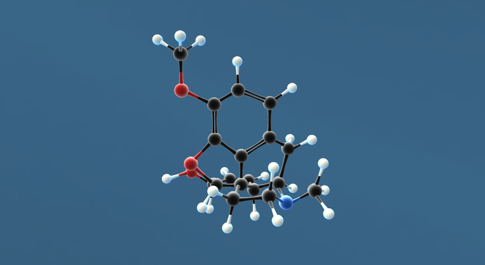 Codeine - 3D-сцены - Цифровое образование и обучение Мozaik