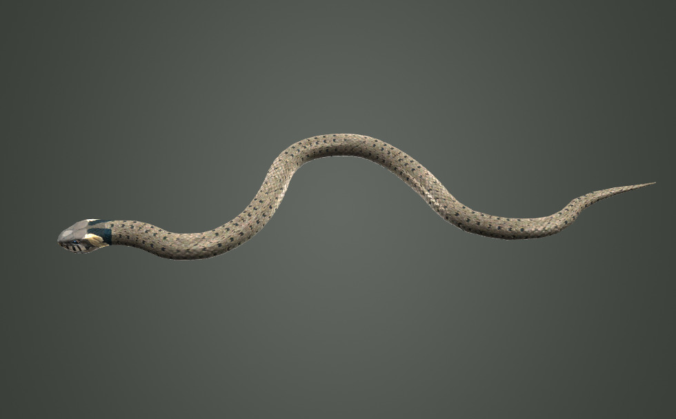 Belouška - 3D-animacija - Digitalno poučevanje in učenje Mozaik