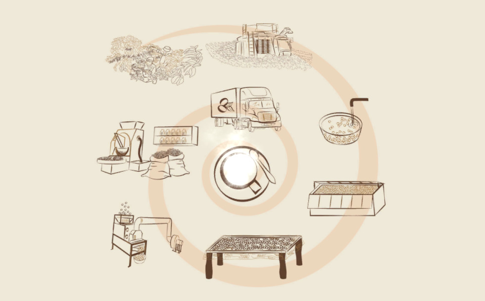 Kavovec - 3D-animacija - Digitalno poučevanje in učenje Mozaik