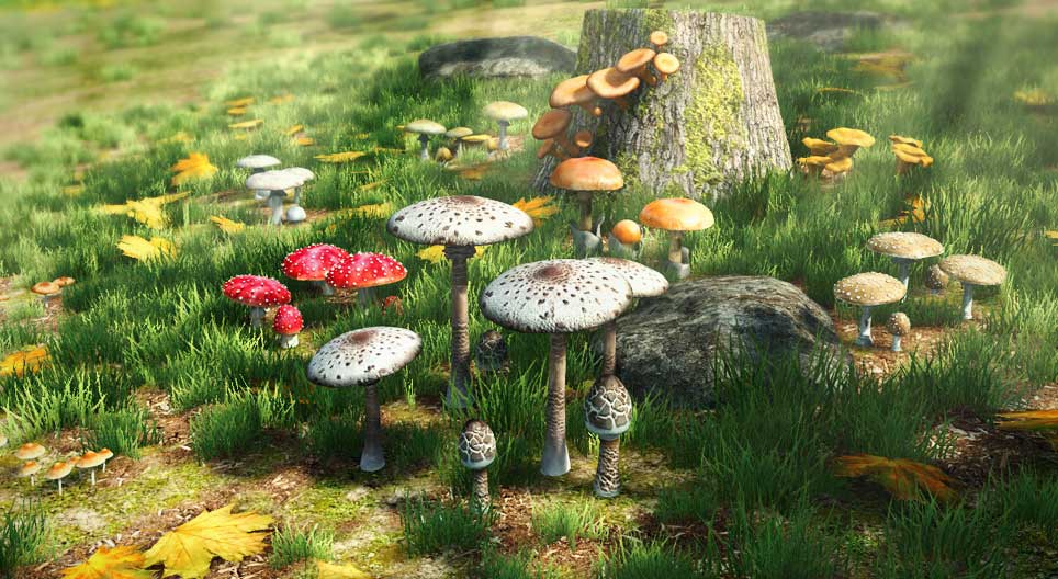 Primerjava užitnih in strupenih gob - 3D-animacija - Digitalno ...