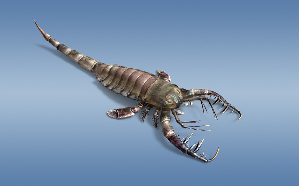 Морске шкорпије - 3D модел - Mozaik дигитално образовање и учење