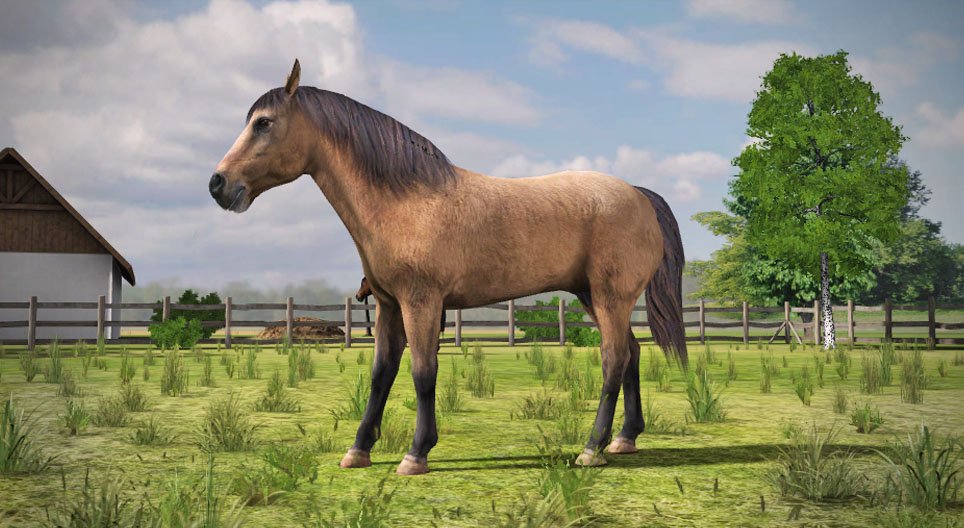 Domaći konj - 3D model - Mozaik digitalno obrazovanje i učenje